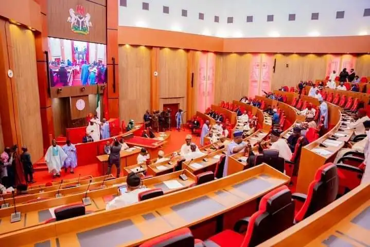 Senate Set to Prioritise Constitution Review, Electoral Act Amendments ...